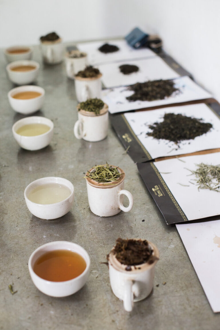 THE LEGACY OF A BREW: TEMI TEA GARDEN — Sikkim Project
