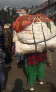 PORTERAGE AND PUBLIC SPACE: THE WOMEN BHARIYAS OF DARJEELING BAZAAR ...