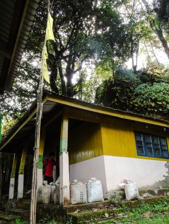 A WALK ACROSS SEPI: THE INTERTWINED LIVES OF HUMANS AND WILDLIFE ...